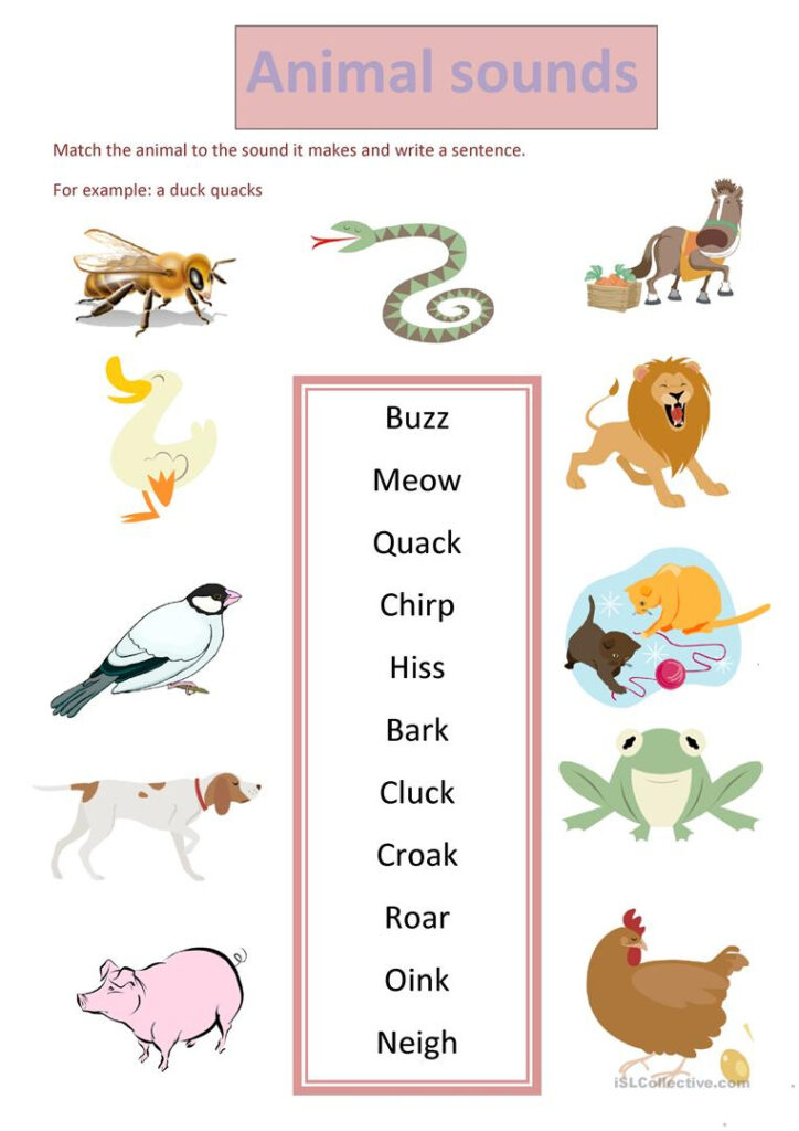 Animal Sounds Printable Worksheets | Peggy Worksheets