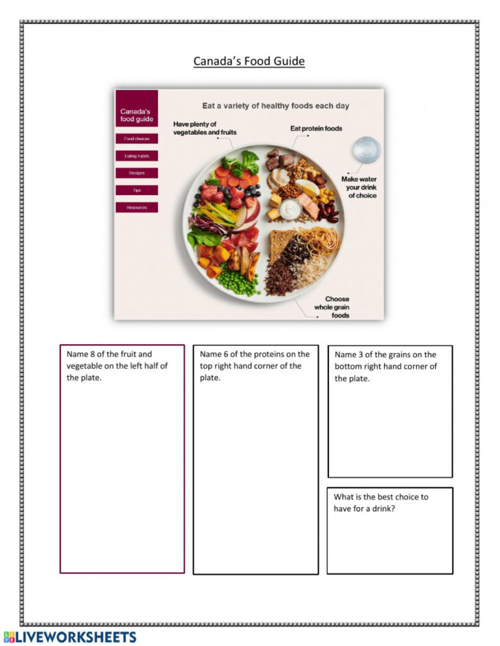 Canada Food Guide Printable Worksheets | Peggy Worksheets