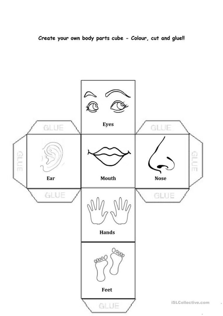 Free Printable Worksheets Kindergarten Body Parts Peggy Worksheets