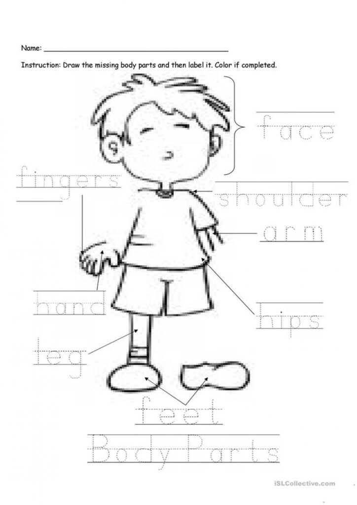 Free Printable Worksheets Kindergarten Body Parts Peggy Worksheets