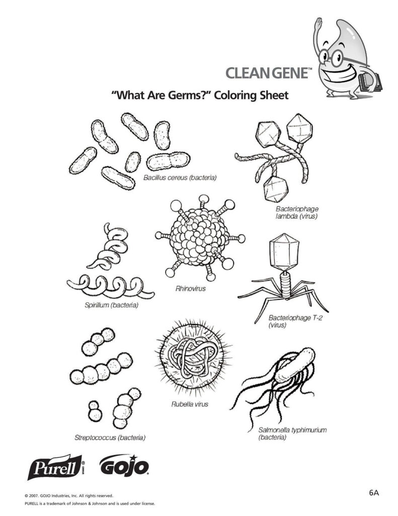 Germs Worksheets Printables | Peggy Worksheets