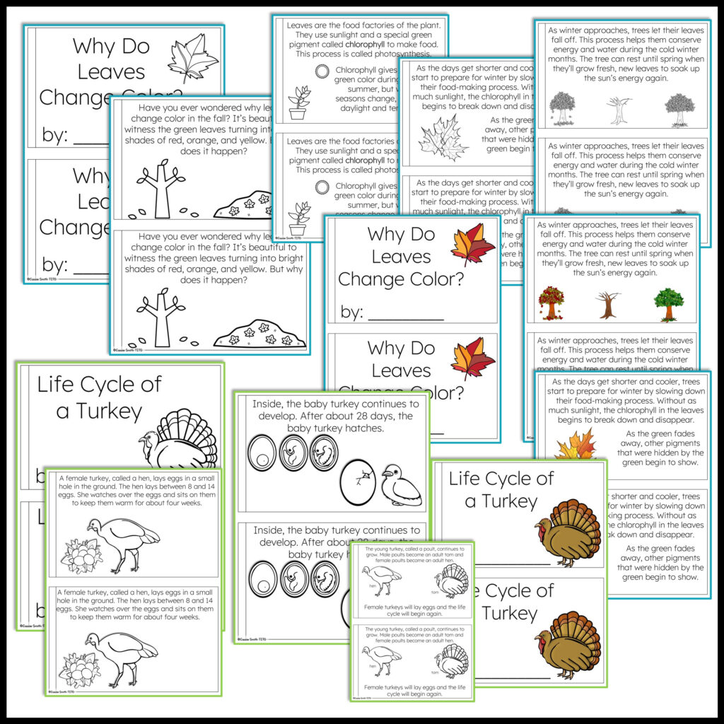 Thanksgiving Science Worksheets | Peggy Worksheets
